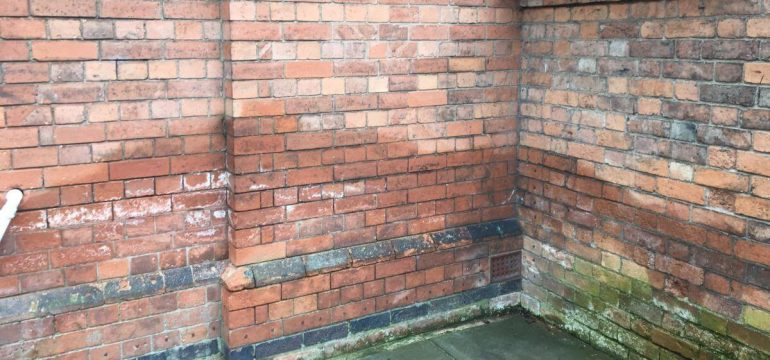Rising Damp: Signs, Causes & Solutions | Rentokil Property